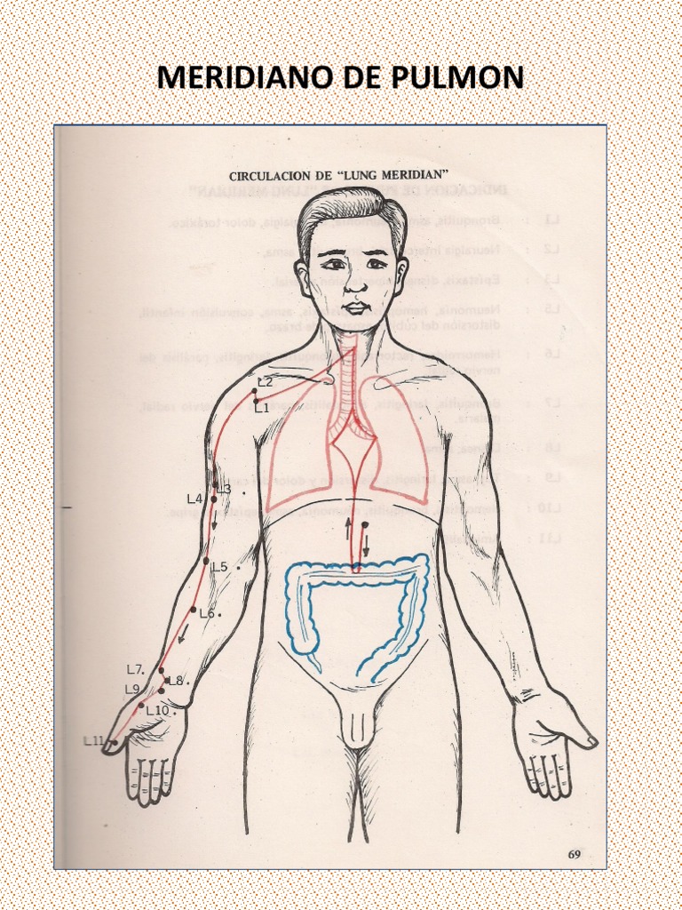 Atlas de Meridianos | PDF