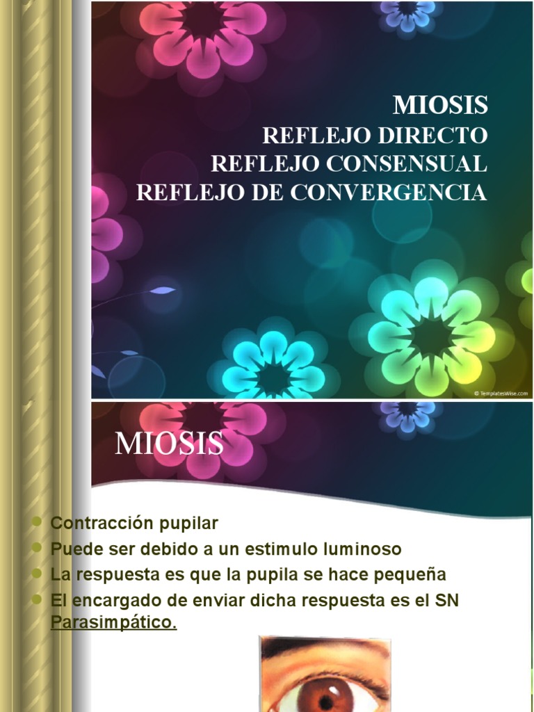 Reflejos Pupilares: Directo y Consensual | PDF | Anatomía humana ...