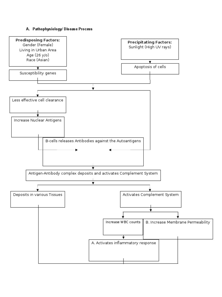 A. Pathophysiology/ Disease Process: Increase WBC Counts | PDF