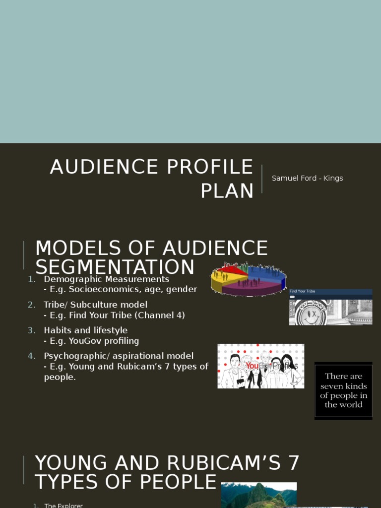 Audience Profile | PDF | Social Media | Popular Culture & Media Studies