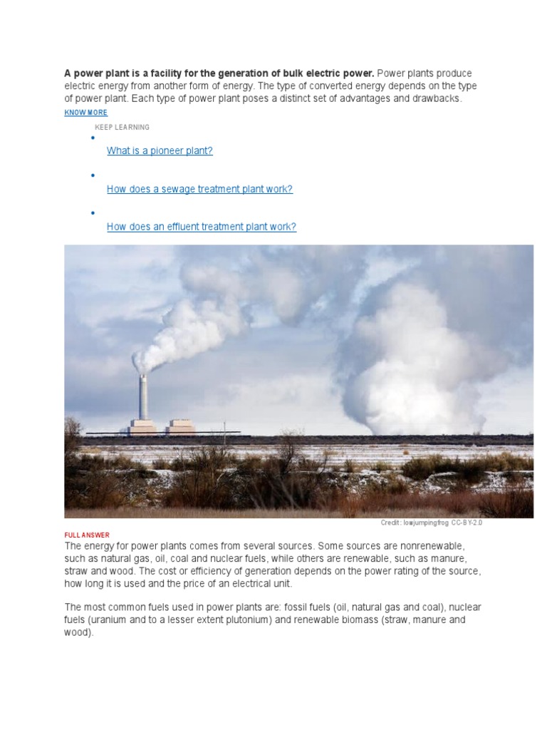 A Power Plant | PDF | Power Station | Fuels