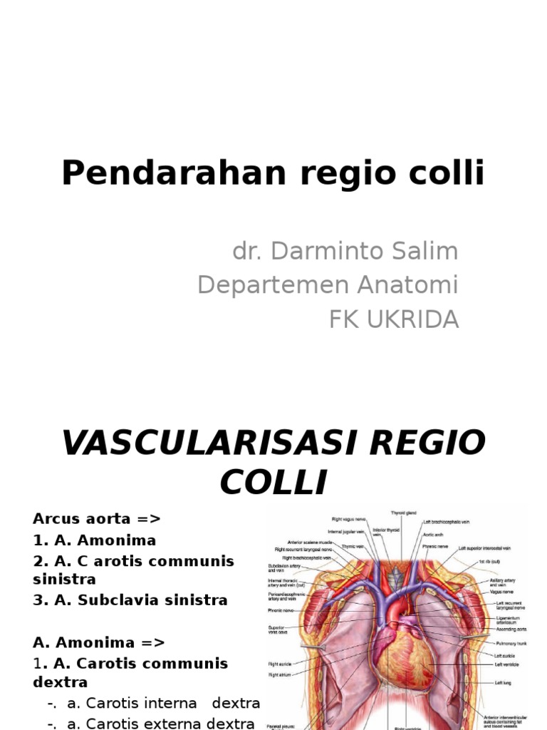 Pendarahan Regio Colli | PDF | Thorax (Human Anatomy) | Human Head And Neck