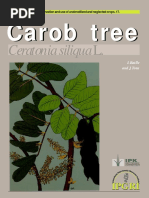 Carrot Origins and Historical Evolution | PDF | Carrot | Plants