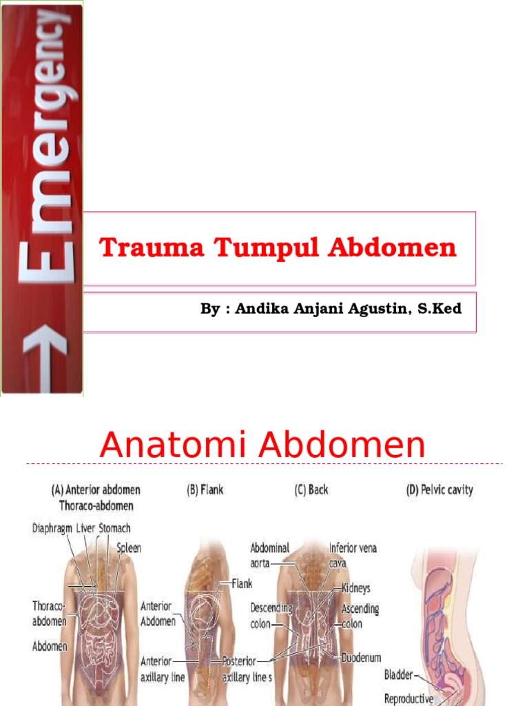 Trauma Tumpul Abdomen | PDF