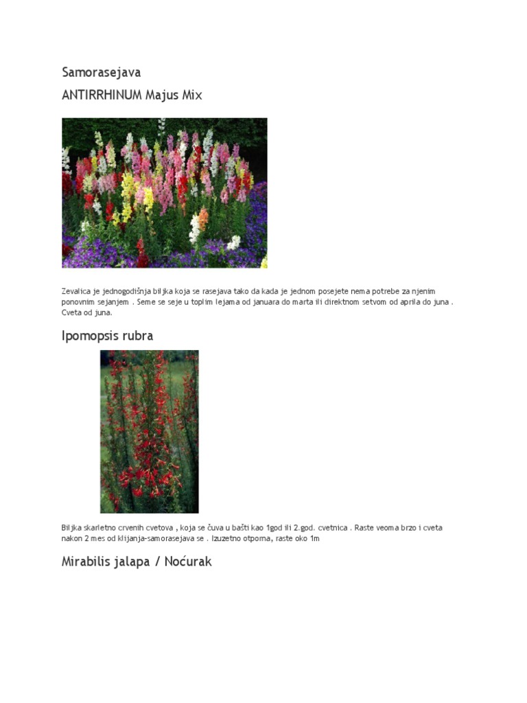 Cvece Koje Se Samorasejava | PDF