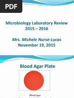 PK Formula Sheet | PDF | Pharmacokinetics | Pharmaceutics