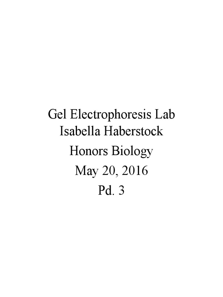 Gel Electrophoresis Lab Report | PDF | Gel Electrophoresis | Agarose ...