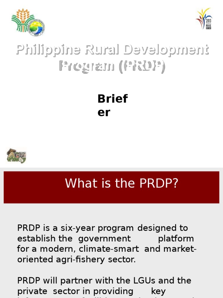 PRDP Presentation March 2014 | PDF | Value Chain | Economies