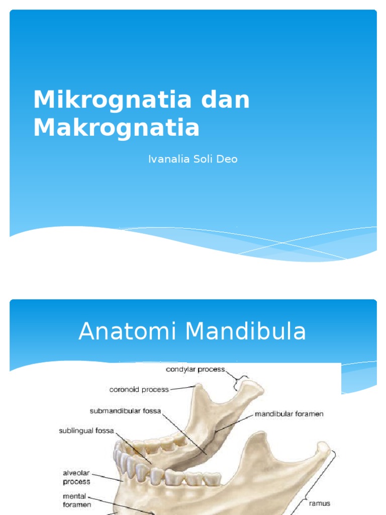Mikrognatia Dan Makrognatia | PDF