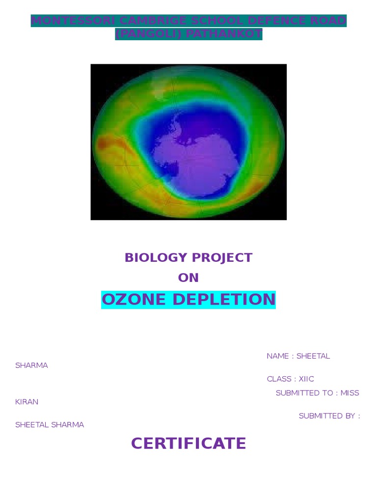 Ozone Depletion Biology Project | PDF | Ozone Depletion ...