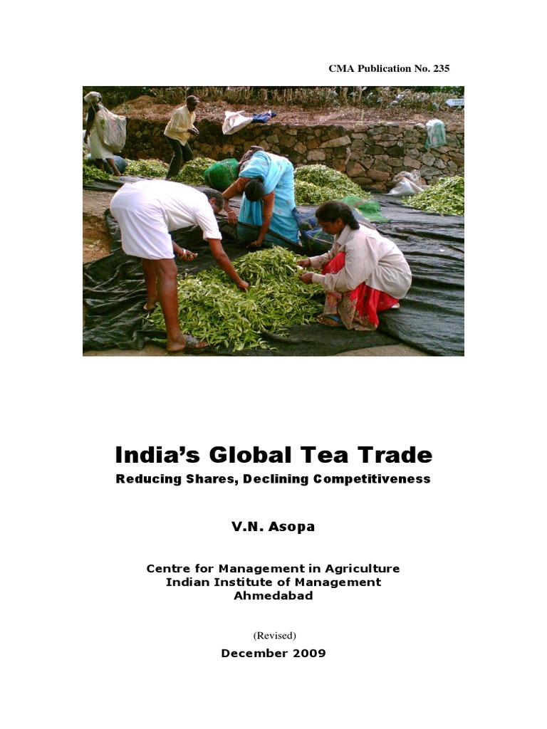 Indias Global Tea Trade | PDF | Tea | Beverages
