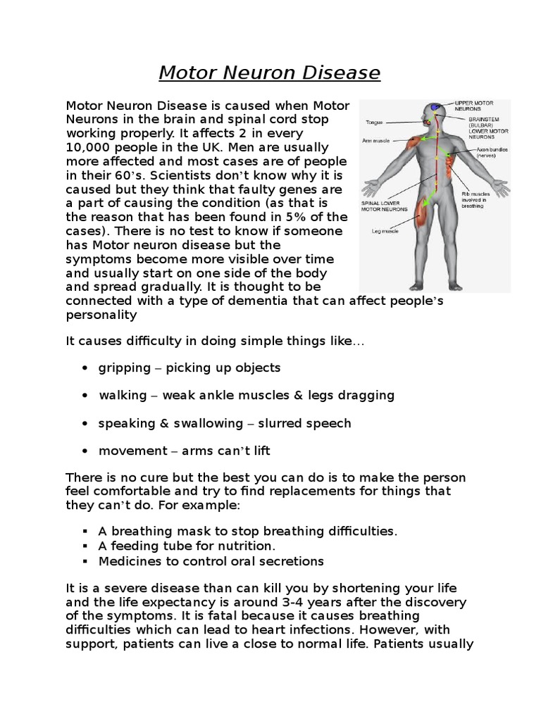 Motor Neuron Disease | PDF