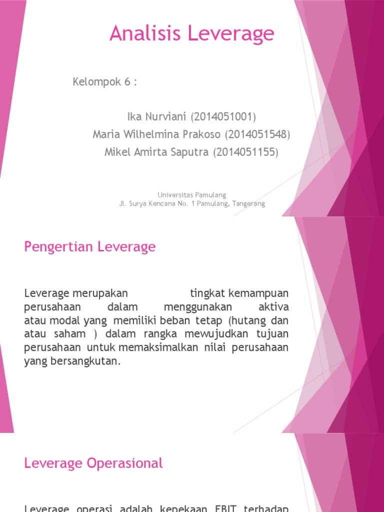 Analisis Leverage | PDF