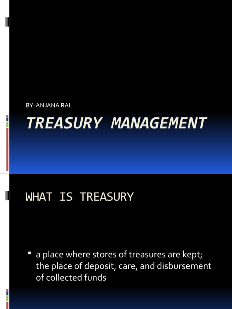 Treasury Management Overview and Functions | PDF