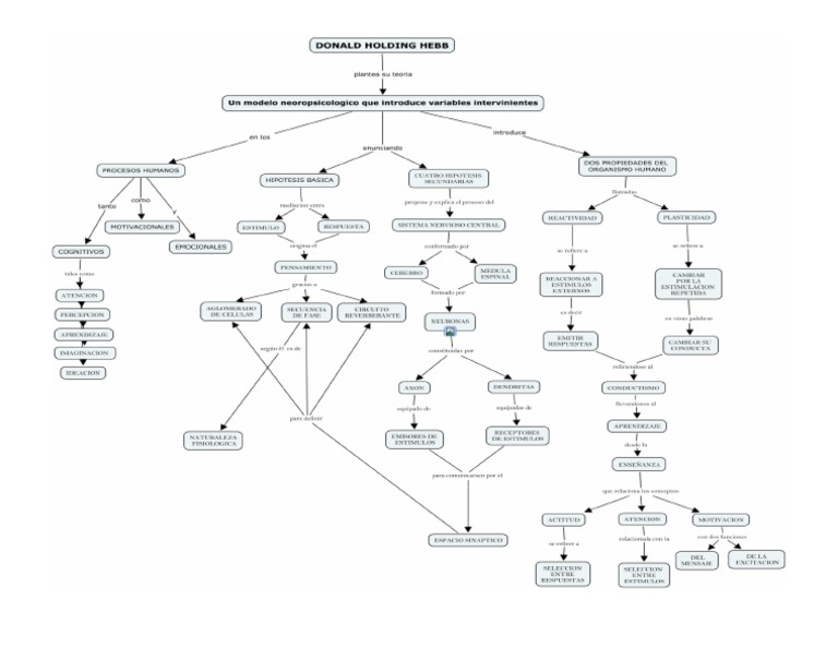 Mapa Conceptual de Teoria de Donald Holding Hebb | PDF