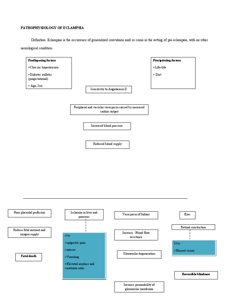 PaThoPhysiology of Eclampsia | PDF | Animal Anatomy | Edema