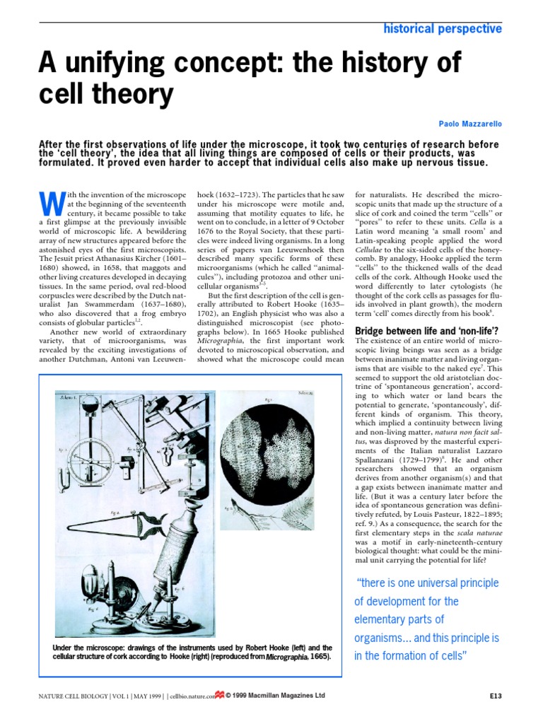 Teoria Cel Lular | PDF | Neuron | Histology