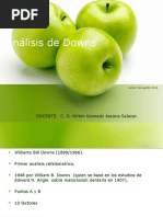 Analisis de Downs | PDF | Diente | Anatomia dental