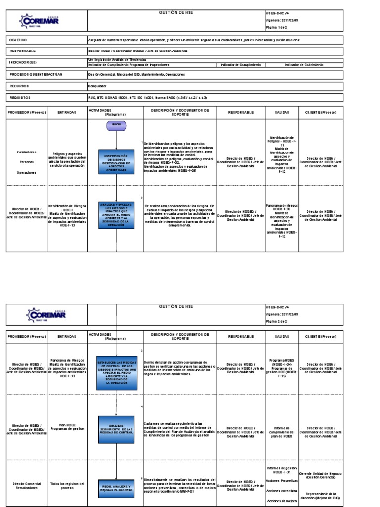 Hseq-D-02 v4 Proceso Hse | PDF