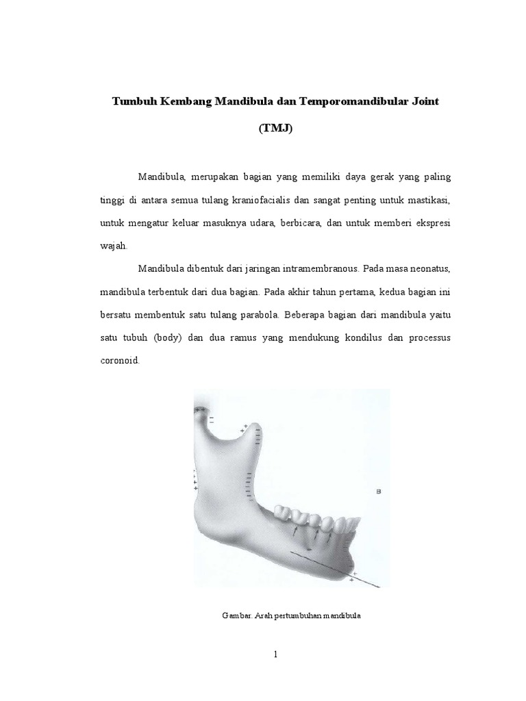 Tumbuh Kembang Mandibula Dan TMJ | PDF | Kesehatan Holistik | Sains ...
