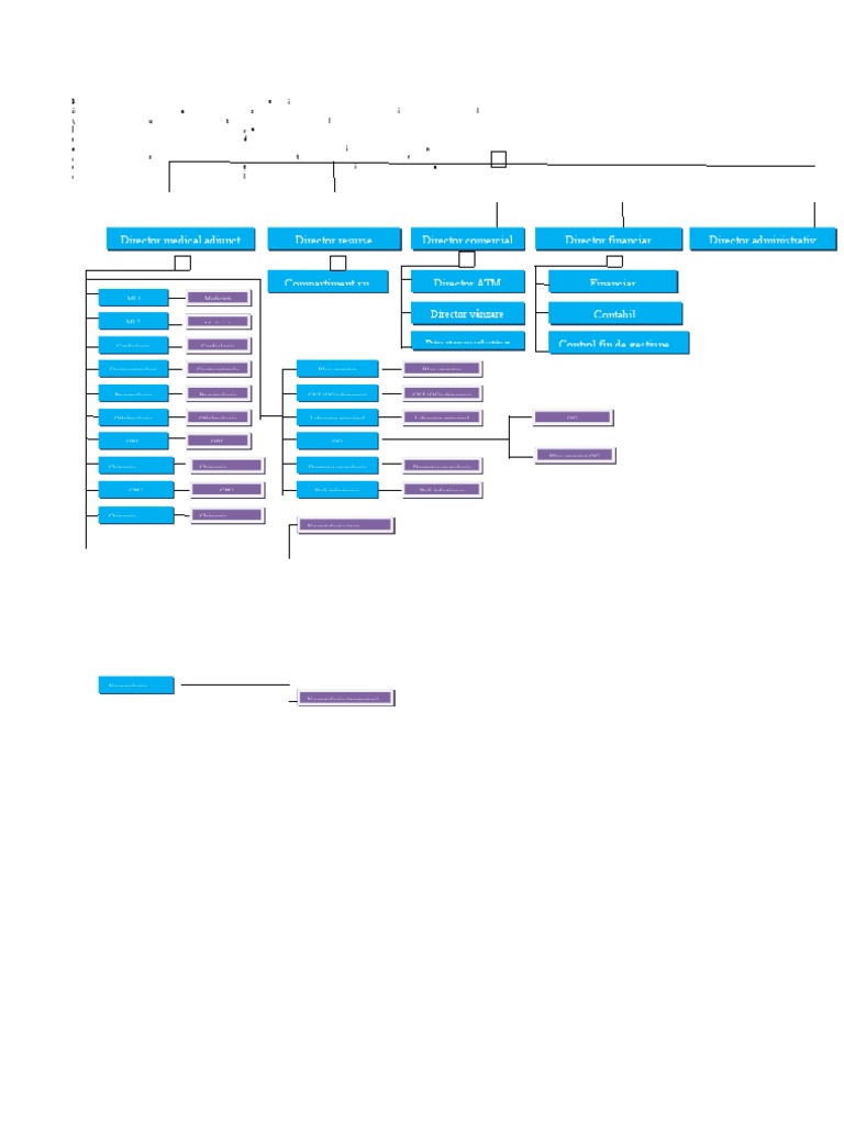 Director Medical Adjunct Director Medical Adjunct Director Administrativ Director Financiar ...