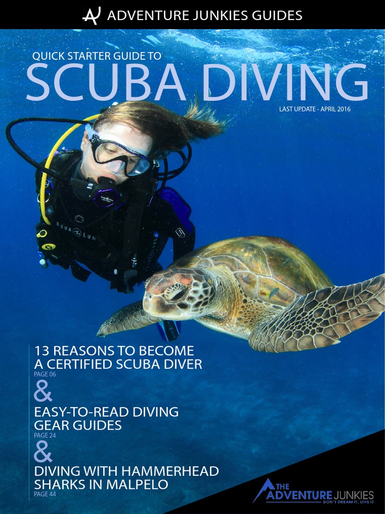 Diving Quick Starter Guide | PDF | Scuba Diving | Underwater Sports