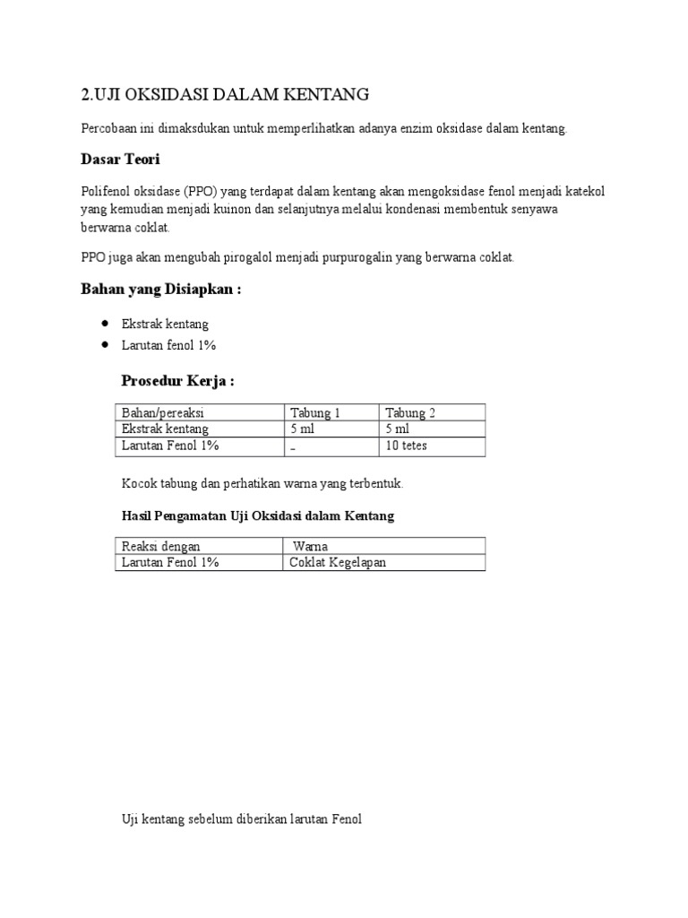 Uji Oksidasi Enzim Kentang | PDF