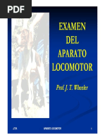 Ángulo de Louis | PDF | Tórax | Anatomía humana