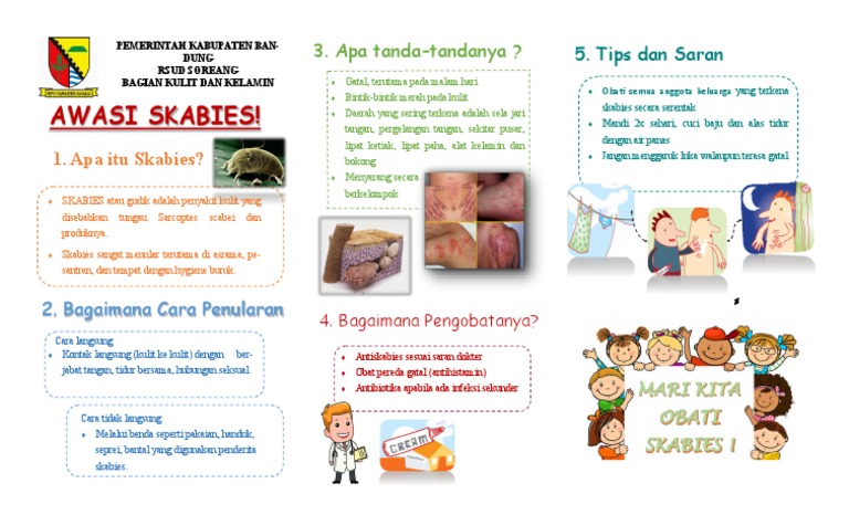 Scabies Leaflet | PDF