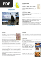 Provincias y Distritos Depártamento Cajamarca | PDF