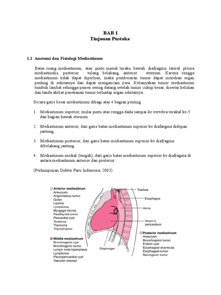 LP Tumor Mediastinum | PDF