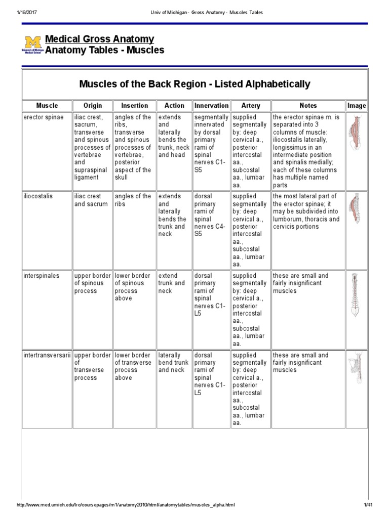 Univ of Michigan - Gross Anatomy - Muscles Tables | Thumb | Arm