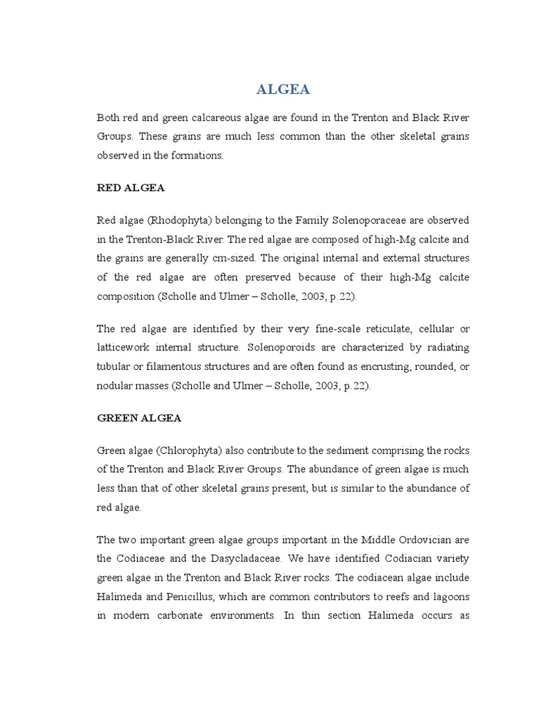 Algae Pdf