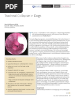Persistent Epiglottis Frenulum | PDF | Clinical Medicine | Medical ...