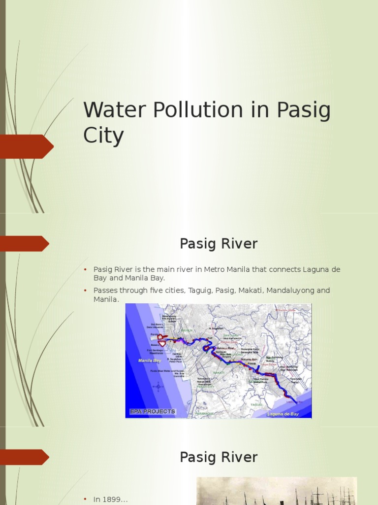 Pasig River Water Pollution Overview | PDF