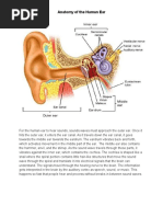 Paracusis Willisii in Otosclerosis Explained | PDF | Hearing Loss | Hearing