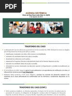 SAEE-08 - Minuta de remedio provisionales 2021 | PDF | Sicología