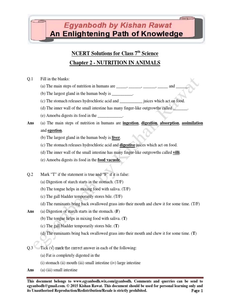 Class 7 - Chapter 2 - Nutrition in Animals | PDF | Digestion | Small ...
