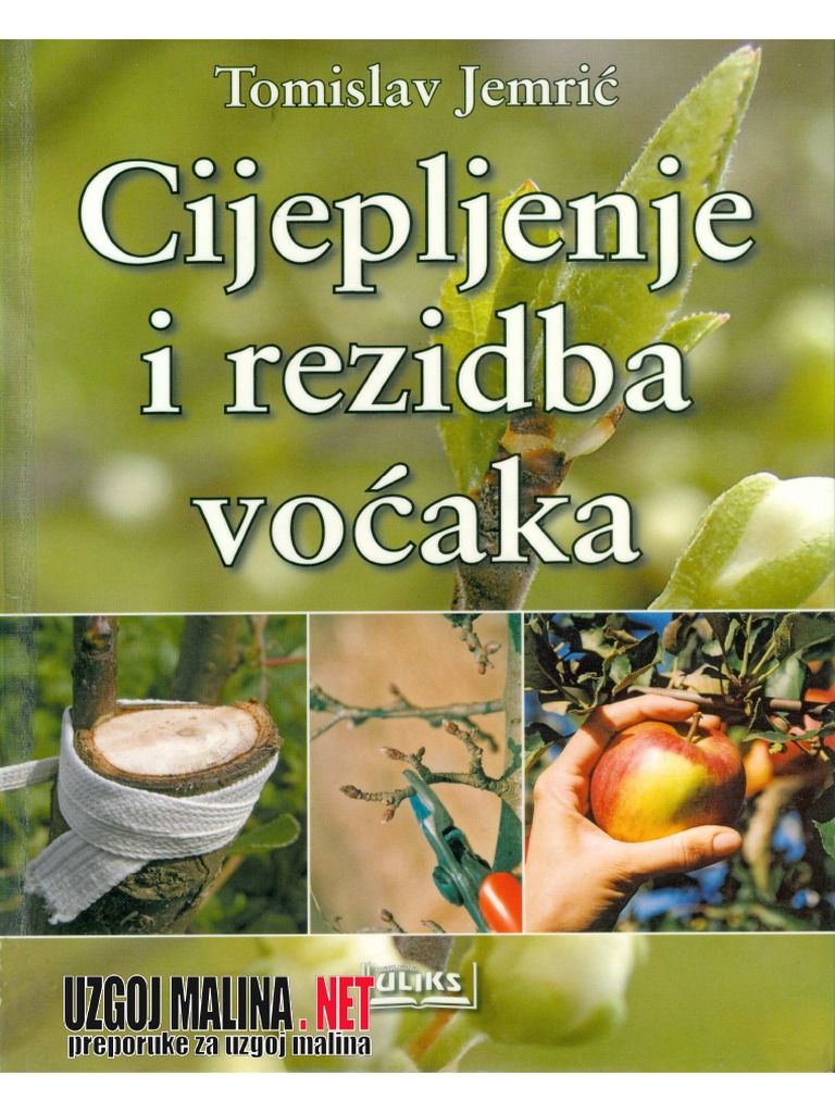 Cijepljenje I Rezidba Voćaka - Malina - Tomislav Jemric | PDF