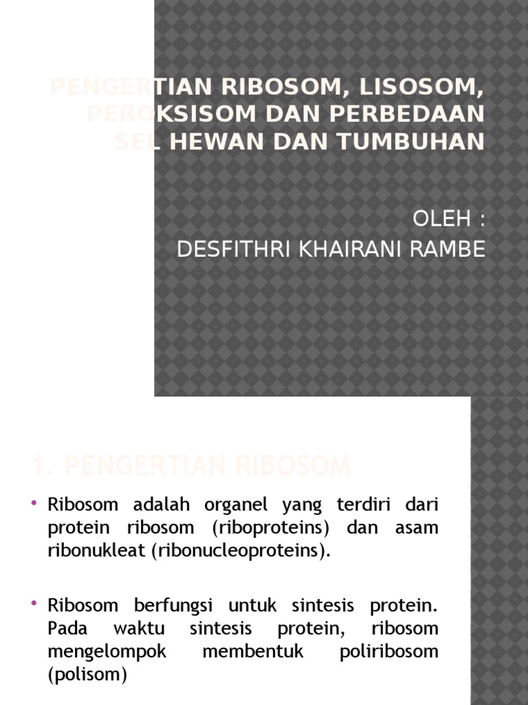 Pengertian Ribosom, Lisosom, Peroksisom Dan Perbedaan | PDF