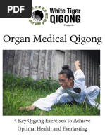 The Truth About The Lin Kong Jing | PDF | Qigong | Qi