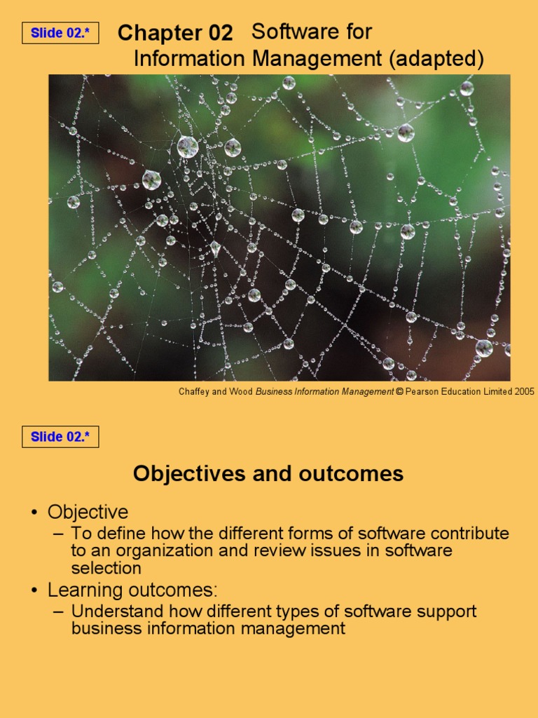 L2 | PDF | Software | Intellectual Works