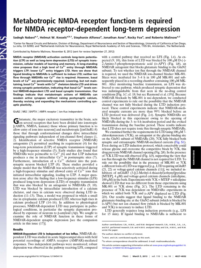 Metabotropic Nmda Receptor | PDF | Nmda Receptor | Long Term Potentiation