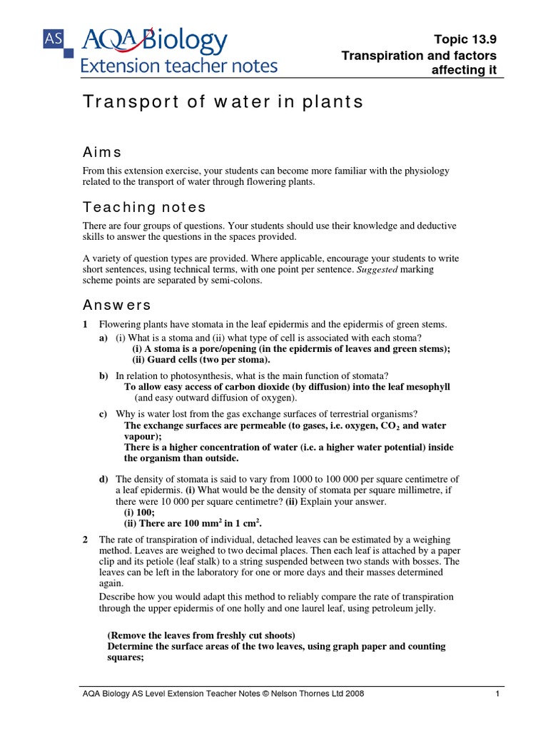 Transport in Plants Answers | PDF | Stoma | Plant Physiology