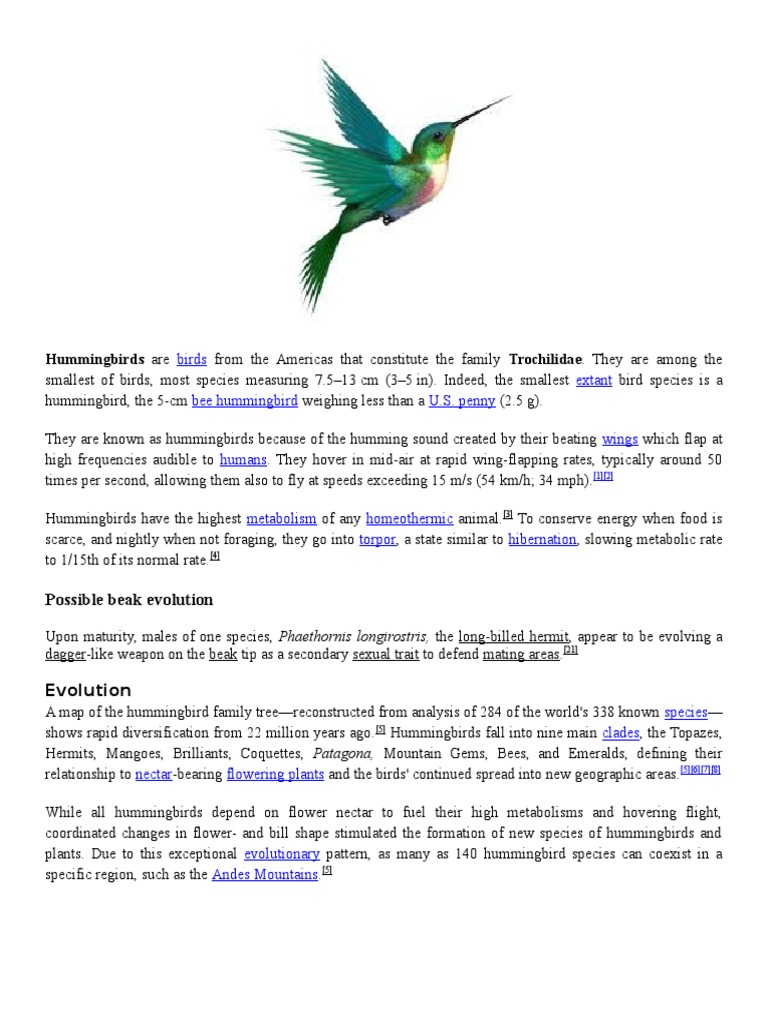 Hummingbirds | PDF | Peafowl | Parrot