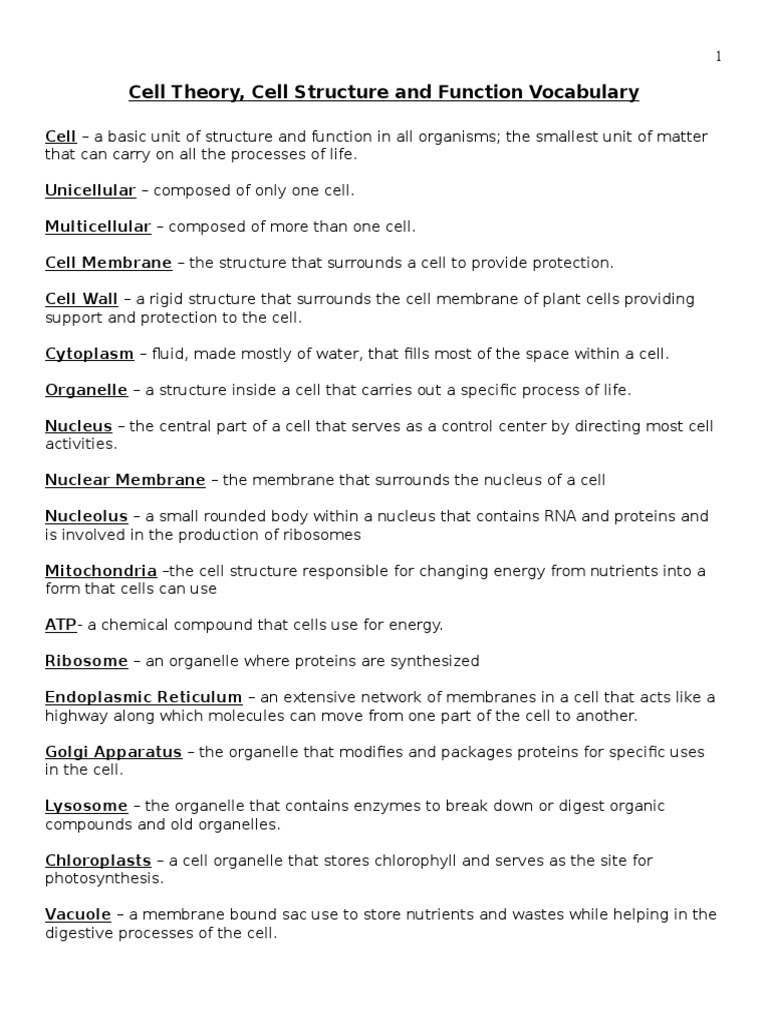 Cell Theory and Structure Vocabulary Guide | PDF