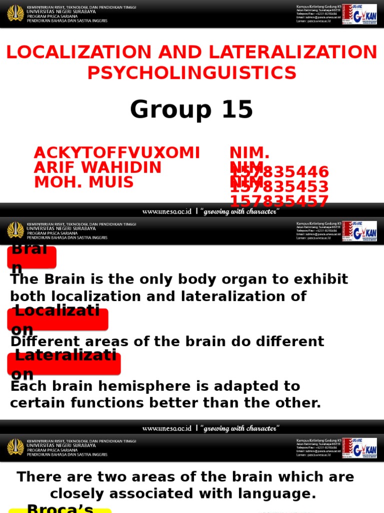 Localization and Lateralization | PDF | Lateralization Of Brain ...