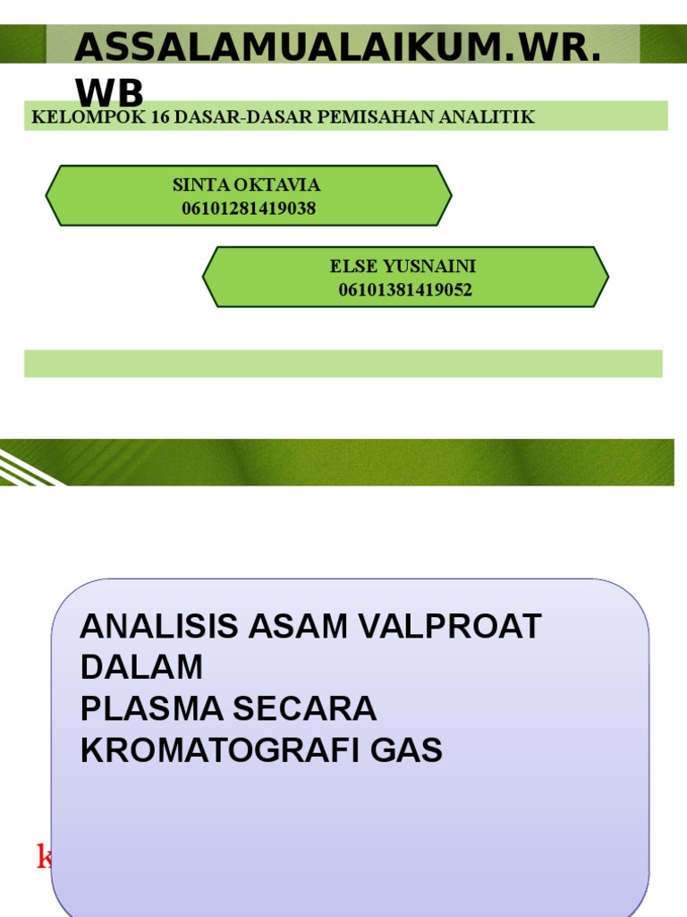 Ppt-Penggunaan Kromatografi Gas Cair | PDF
