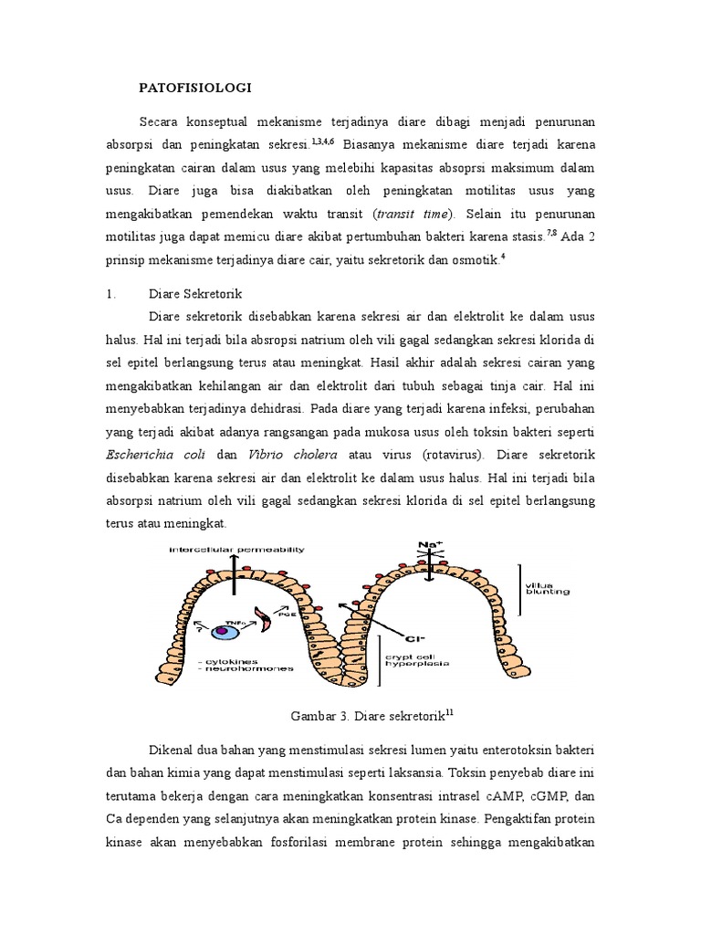 Patofisiologi Diare pada Anak | PDF