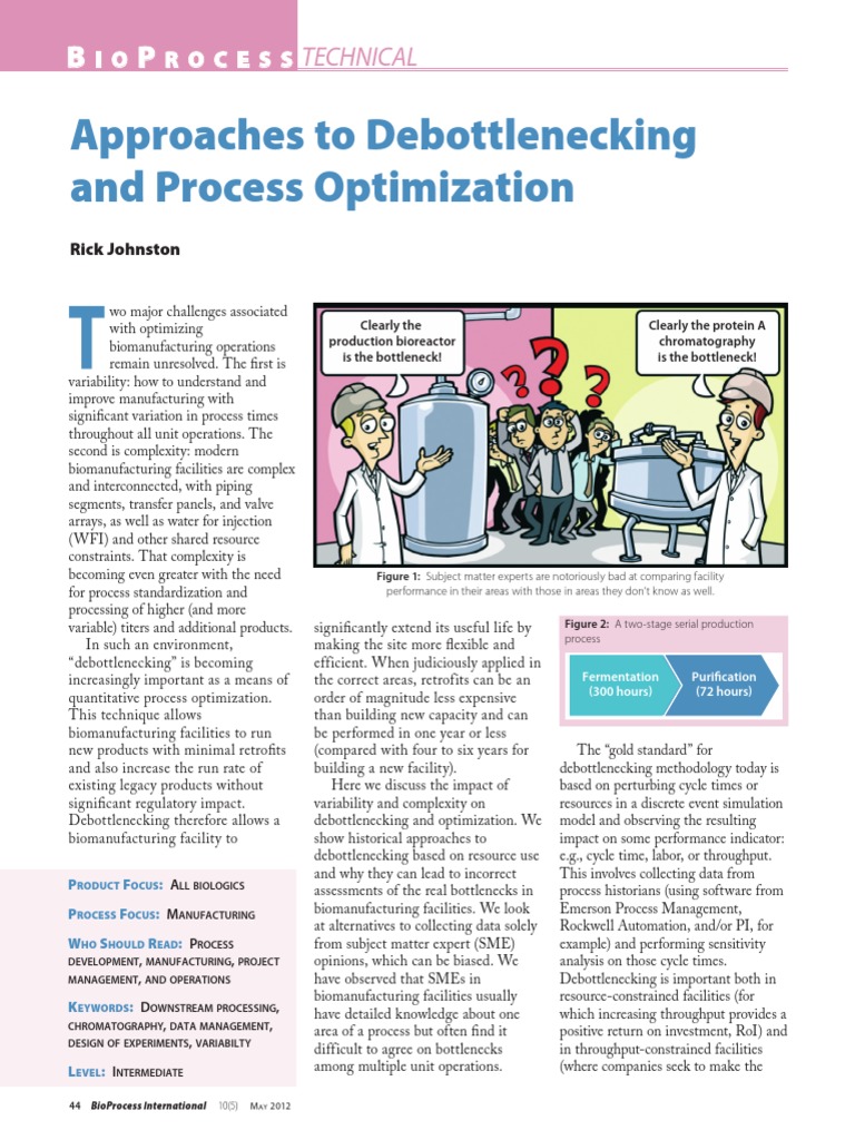 Approaches To Debottlenecking and Process Optimization: Technical | PDF ...